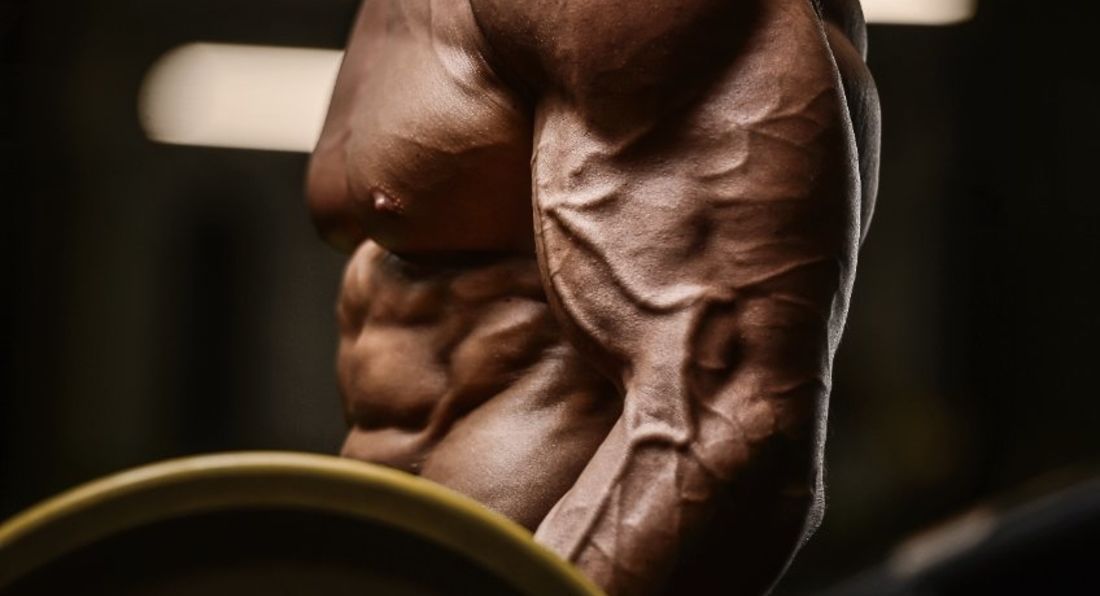 A Simple Guide For Beginner Arm Day Workout – LA Muscle - AU & NZ