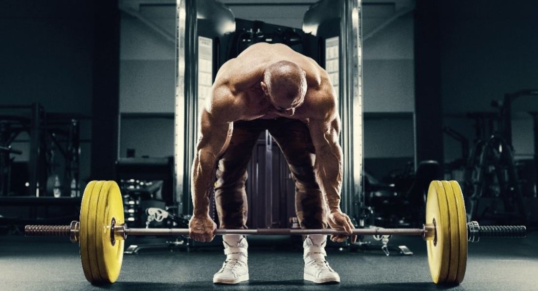 All You Need To Know About The Deadlift Exercise – LA Muscle - AU & NZ