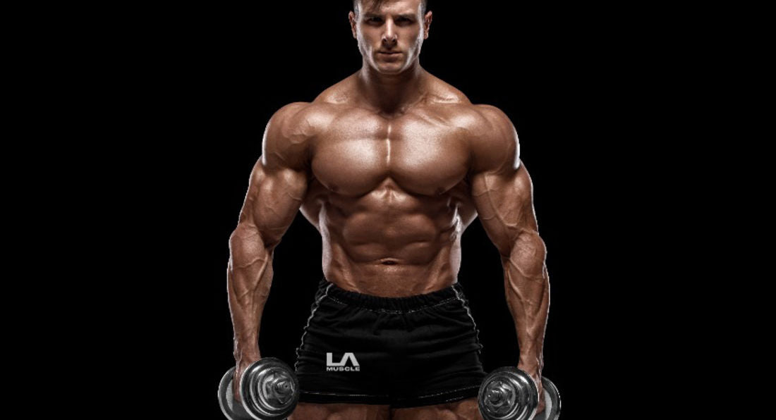 Supplements You Need To Build Muscle Consistently – LA Muscle - AU & NZ