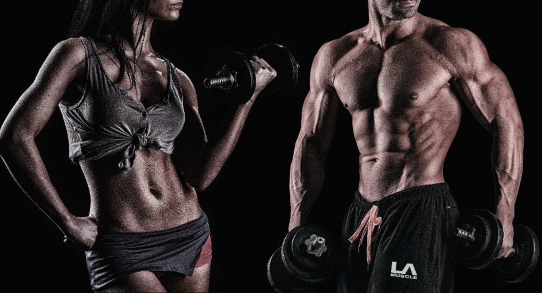 The Science Of Body Recomposition – LA Muscle - AU & NZ