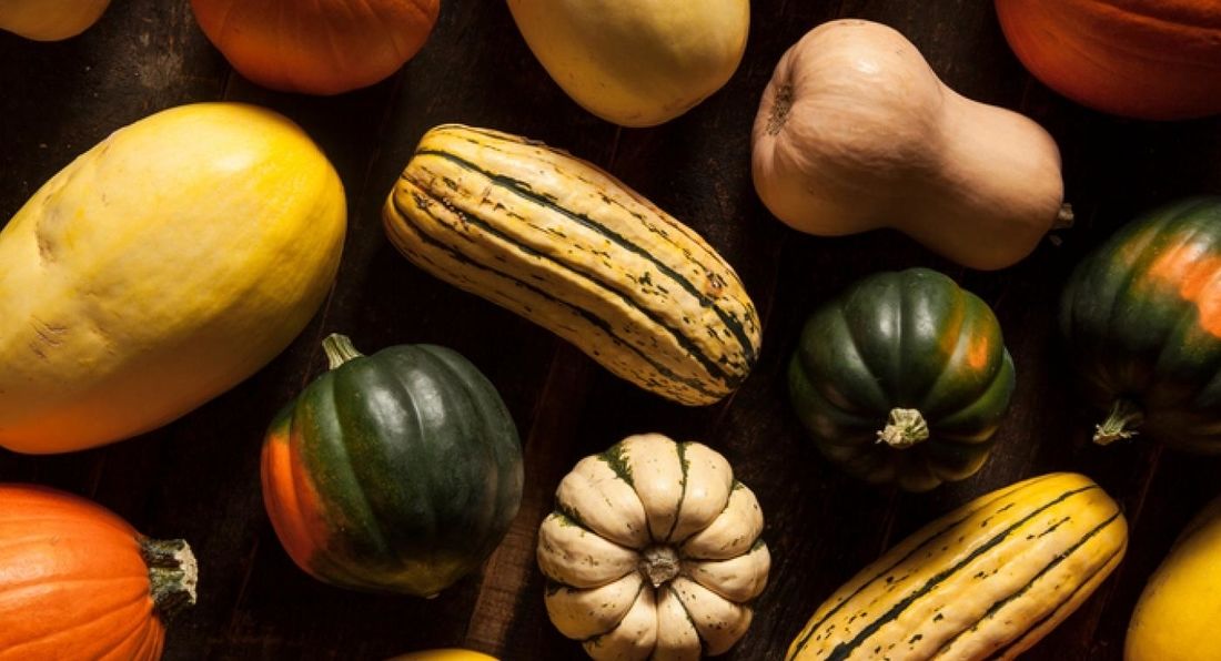 Try These 7 Winter Plate Essentials – LA Muscle - AU & NZ