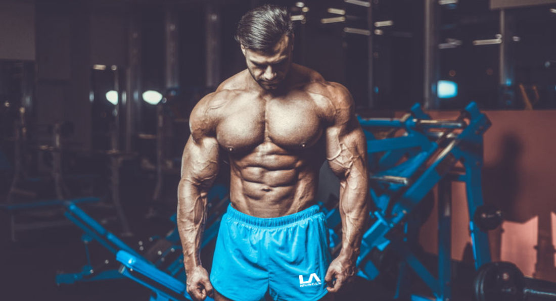 Which is the best Norateen for me? – LA Muscle - AU & NZ