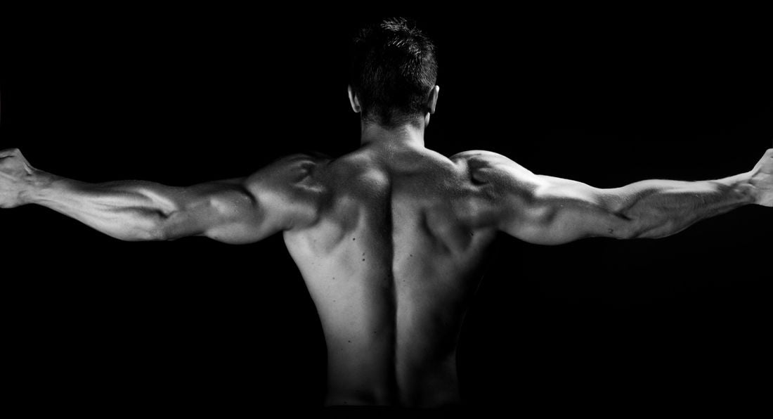 4 Move Back Workout – LA Muscle - AU & NZ