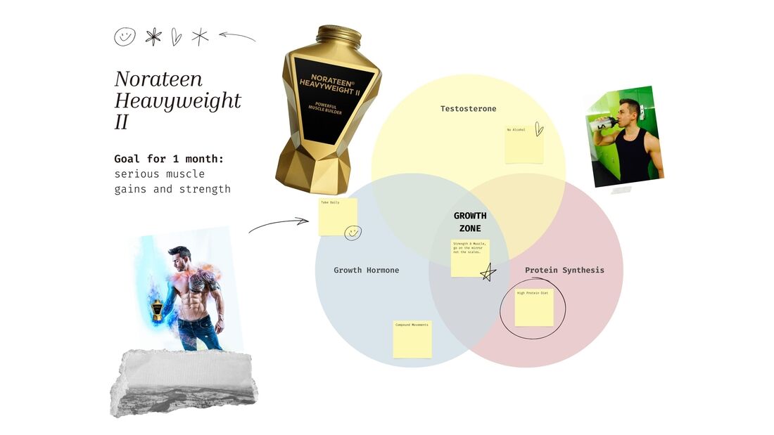 Norateen Explained – LA Muscle - AU & NZ