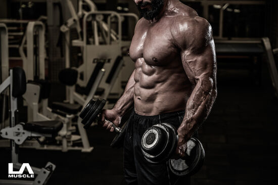 The Basic Guide To Muscle Building – LA Muscle - AU & NZ